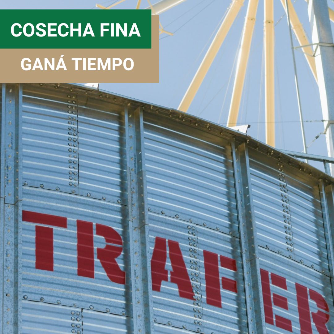 LA COSECHA FINA ESTÁ EN EL HORIZONTE - Trafer
